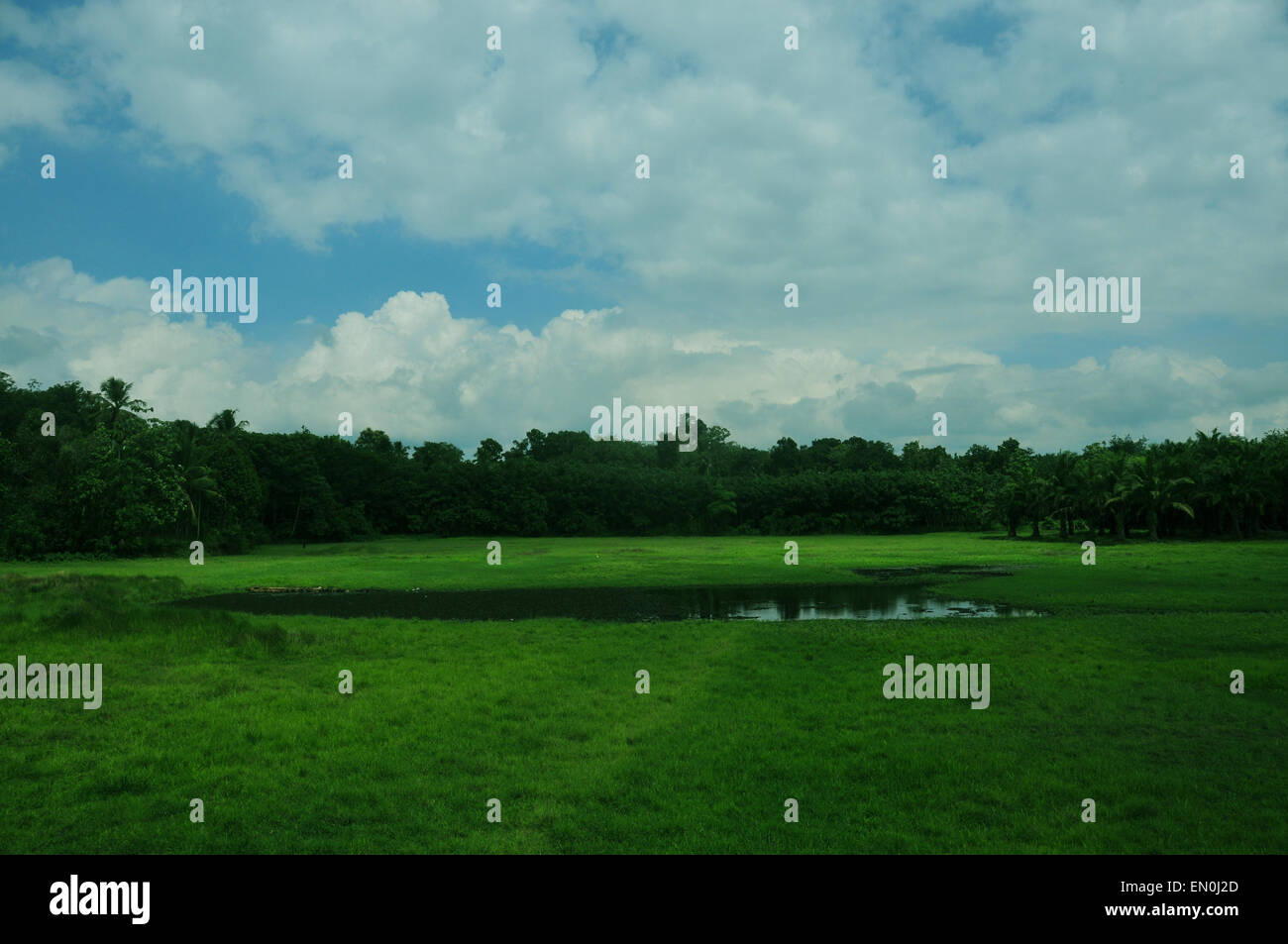 Beautiful Kerala greenery Stock Photo - Alamy