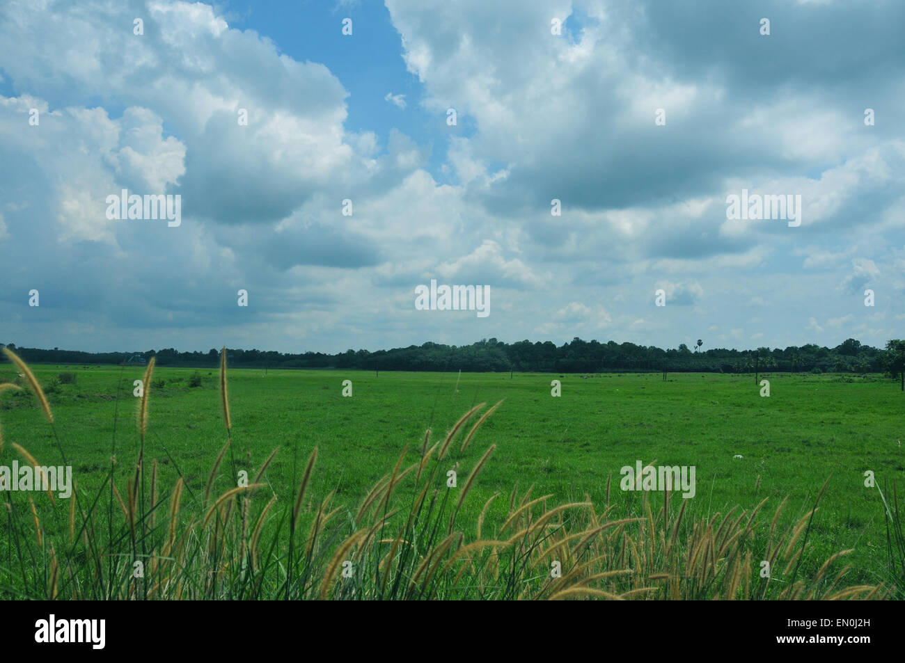 Beauty of white clouds Stock Photo - Alamy