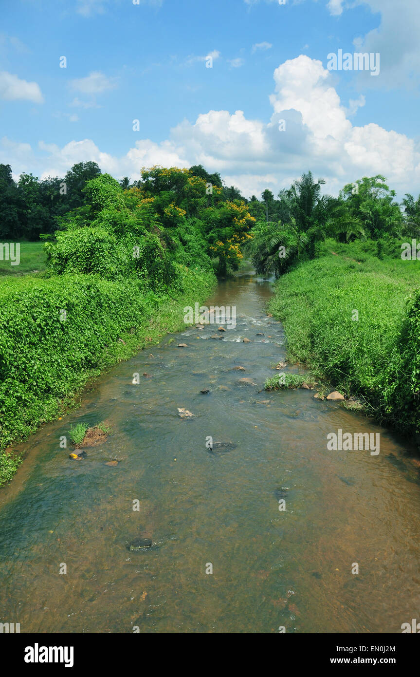 Branch of a river Stock Photo - Alamy