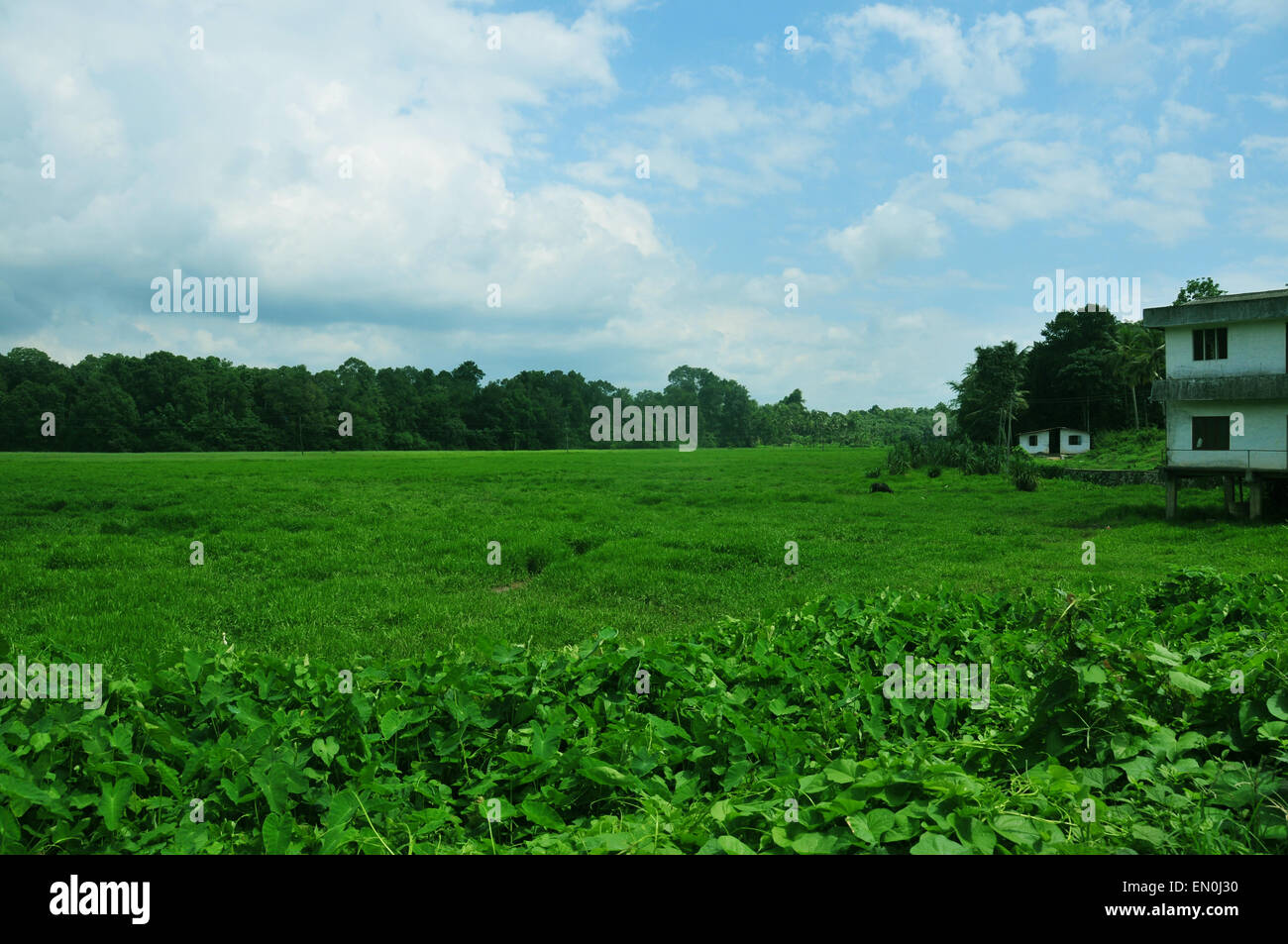 Concrete and green field Stock Photo - Alamy