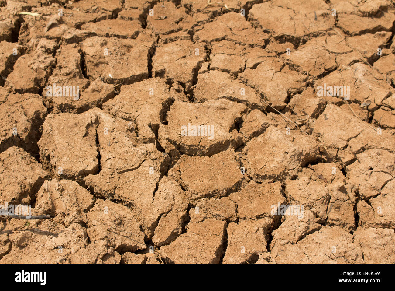 Stream bed erosion hi-res stock photography and images - Alamy