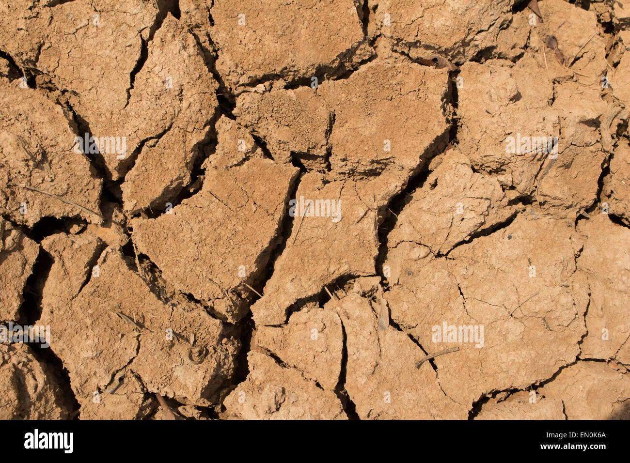 The dry cracked earth in the dried up stream bed of the pond Stock ...