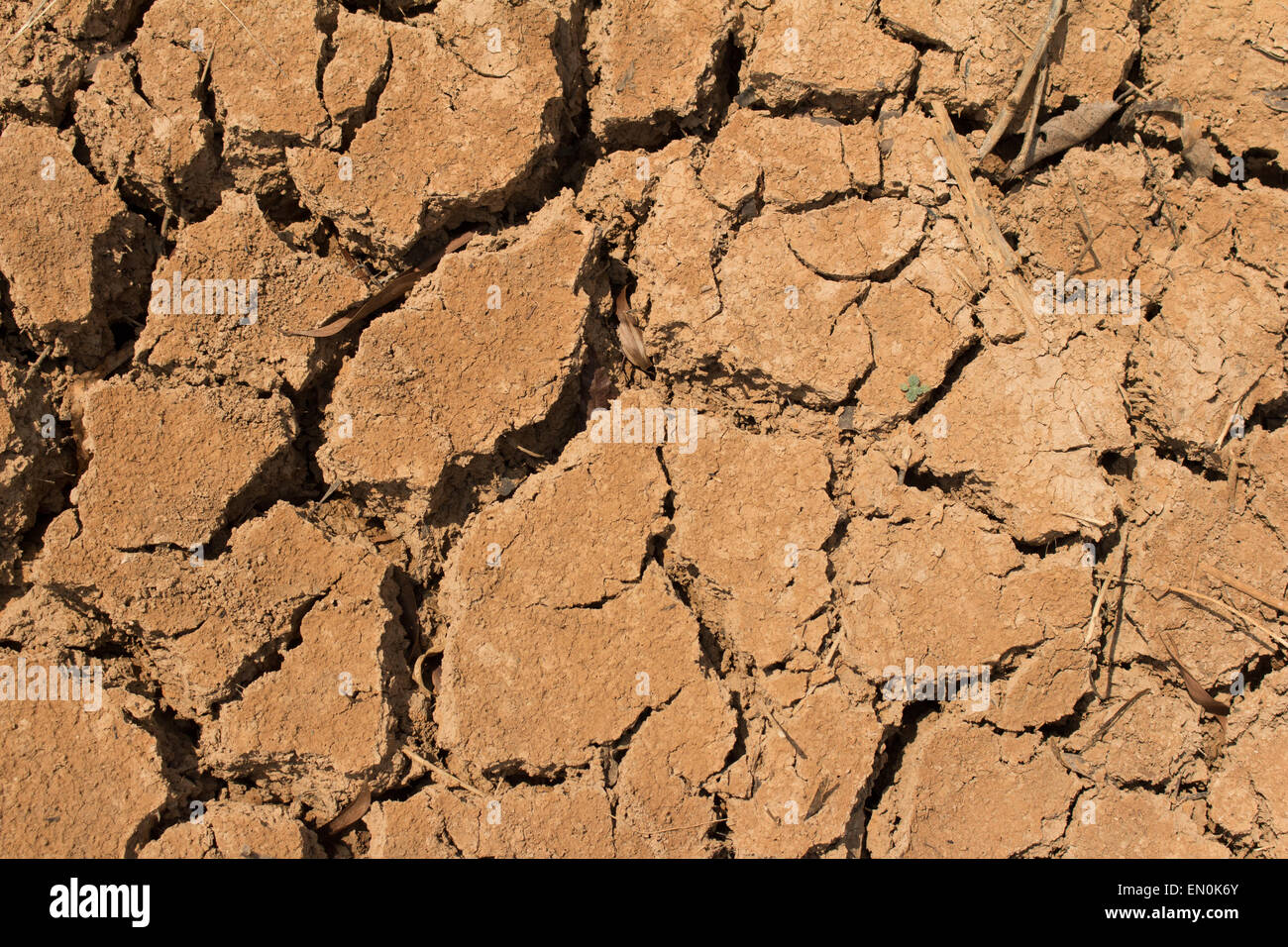 The dry cracked earth in the dried up stream bed of the pond Stock ...
