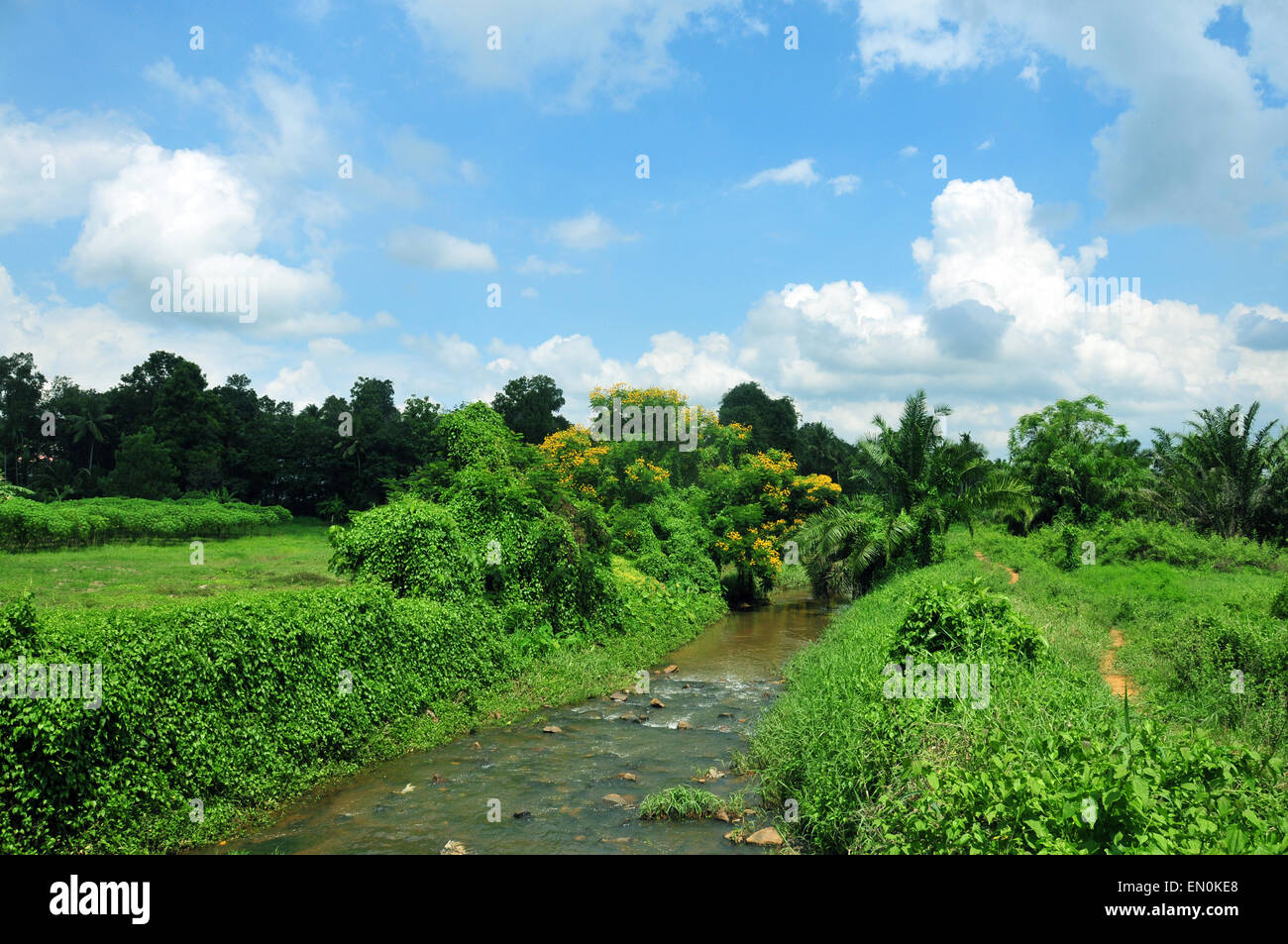 Truly beautiful landscape Stock Photo - Alamy