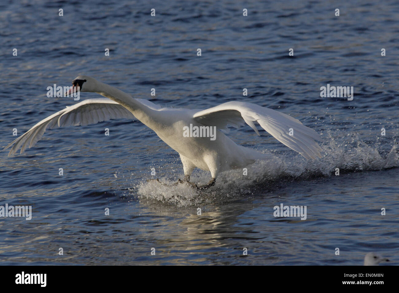 Second in sequence hi-res stock photography and images - Alamy