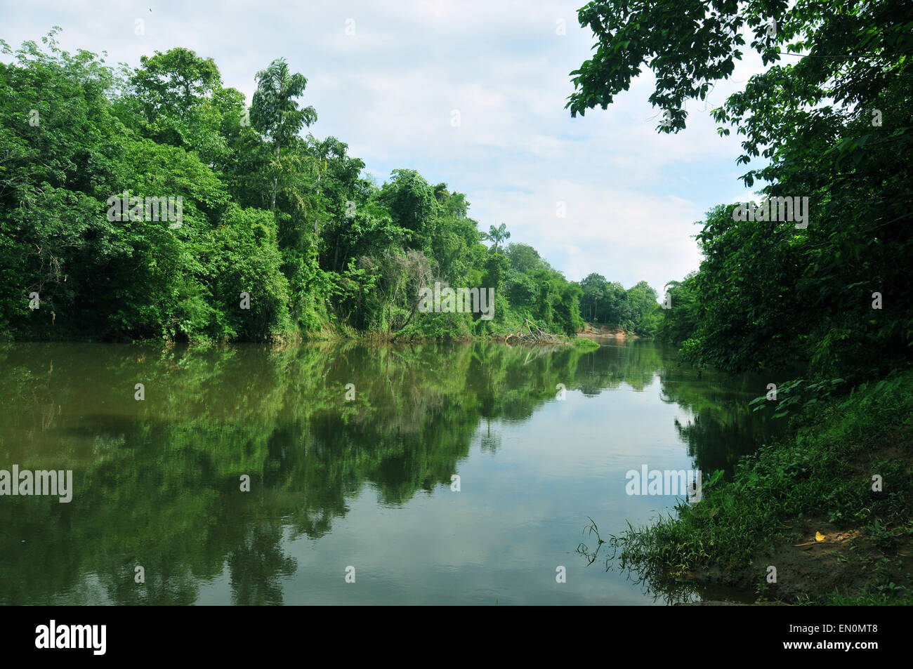 Colorful tree shadows in the water Stock Photo - Alamy