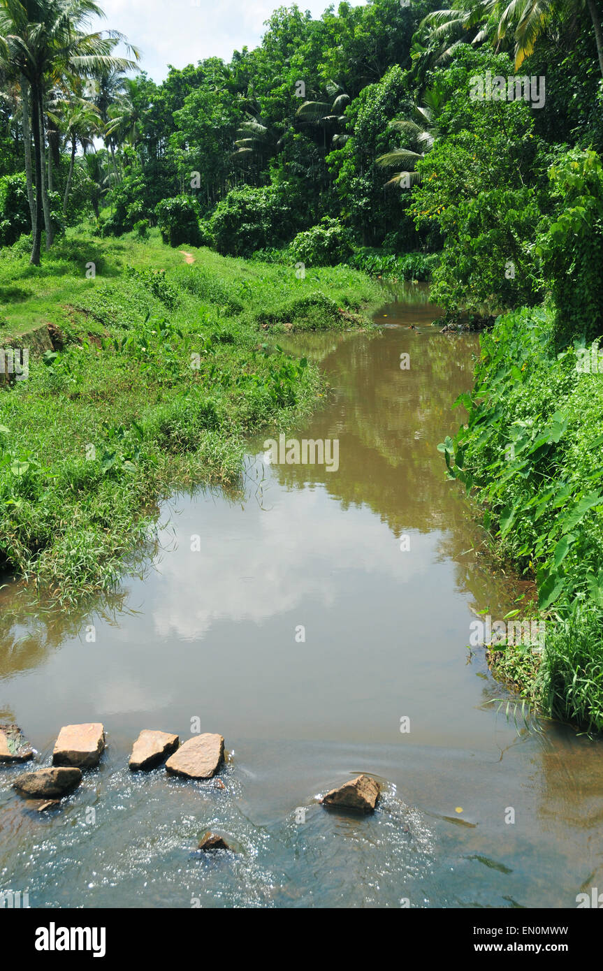 A tiny water way Stock Photo - Alamy
