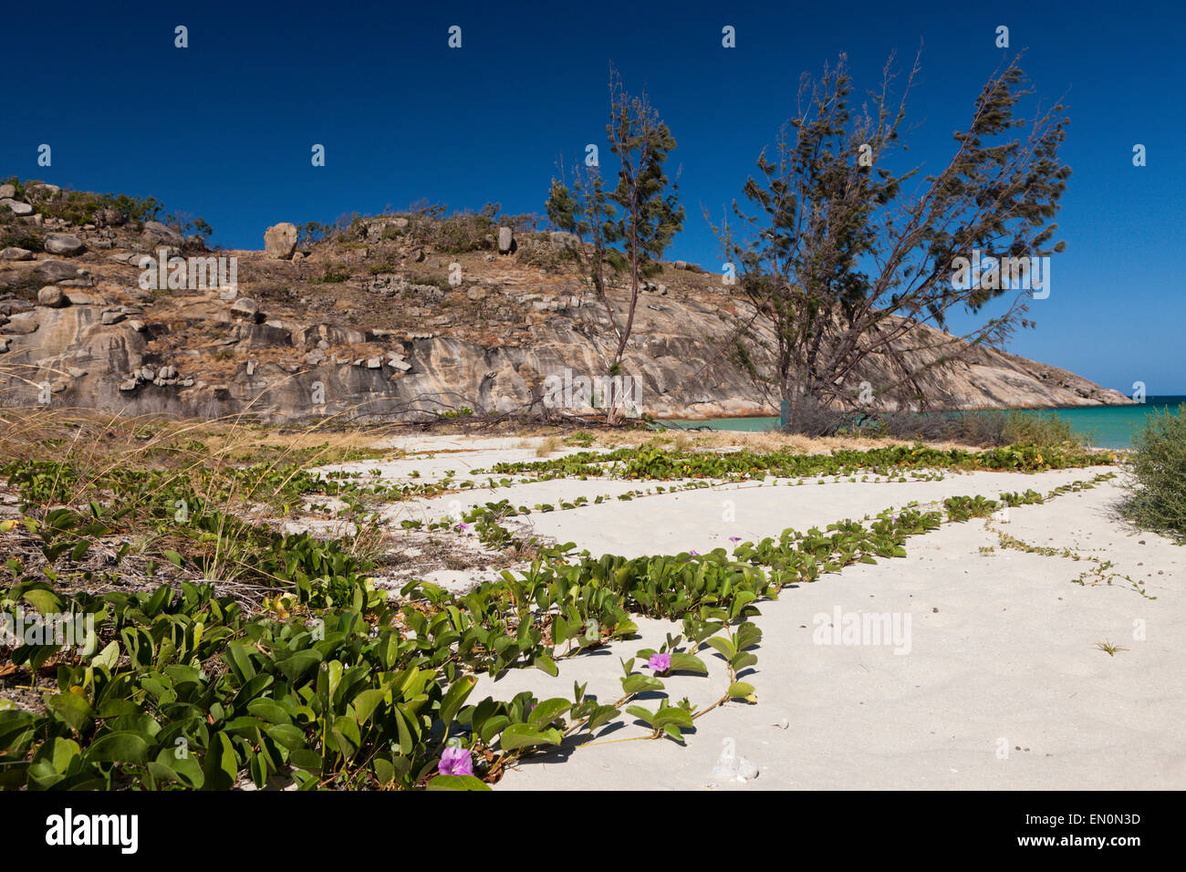 Lizard island hi-res stock photography and images - Alamy