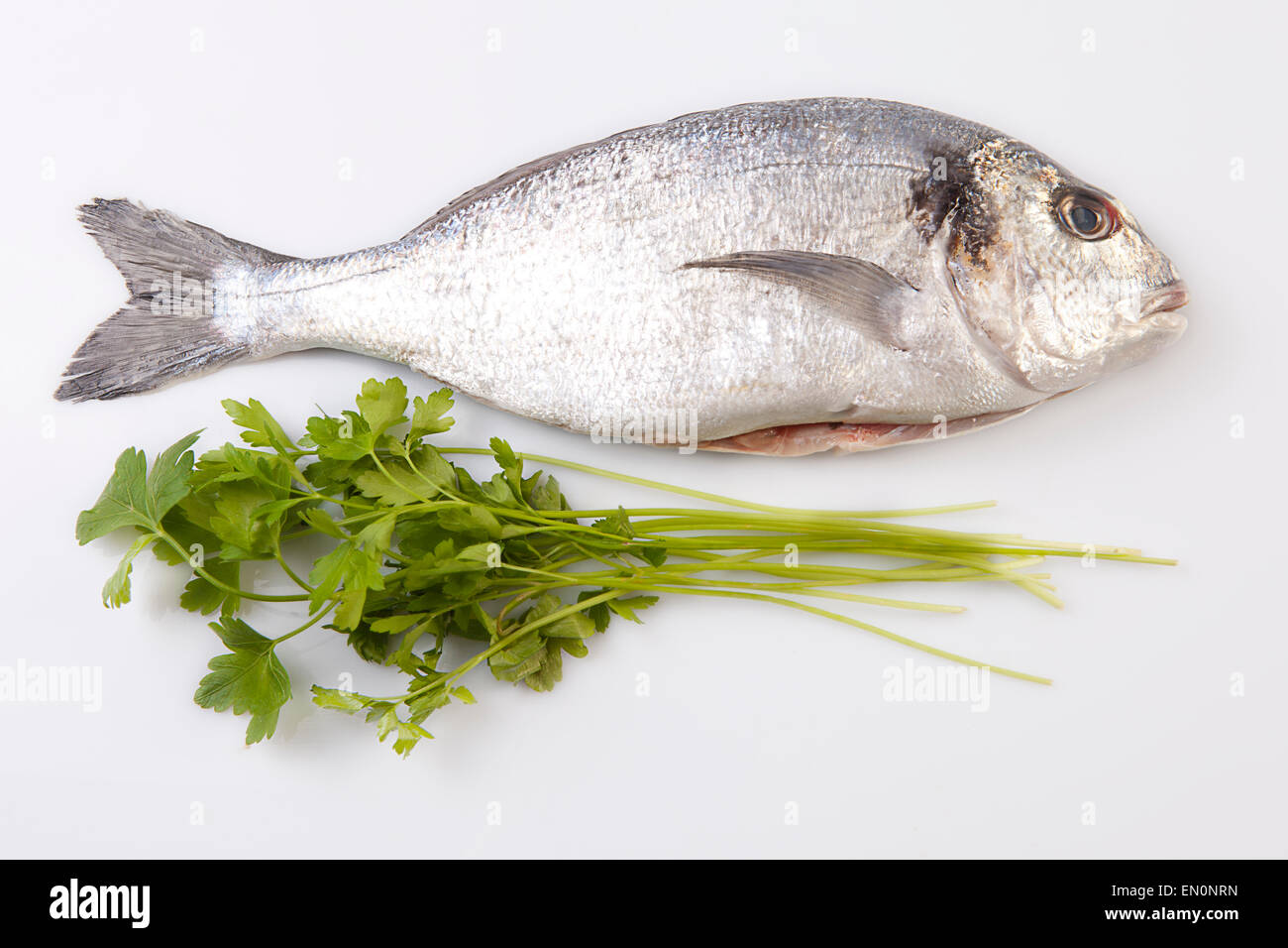 Raw sea bream fish with some ingredients. Isolated over white ...