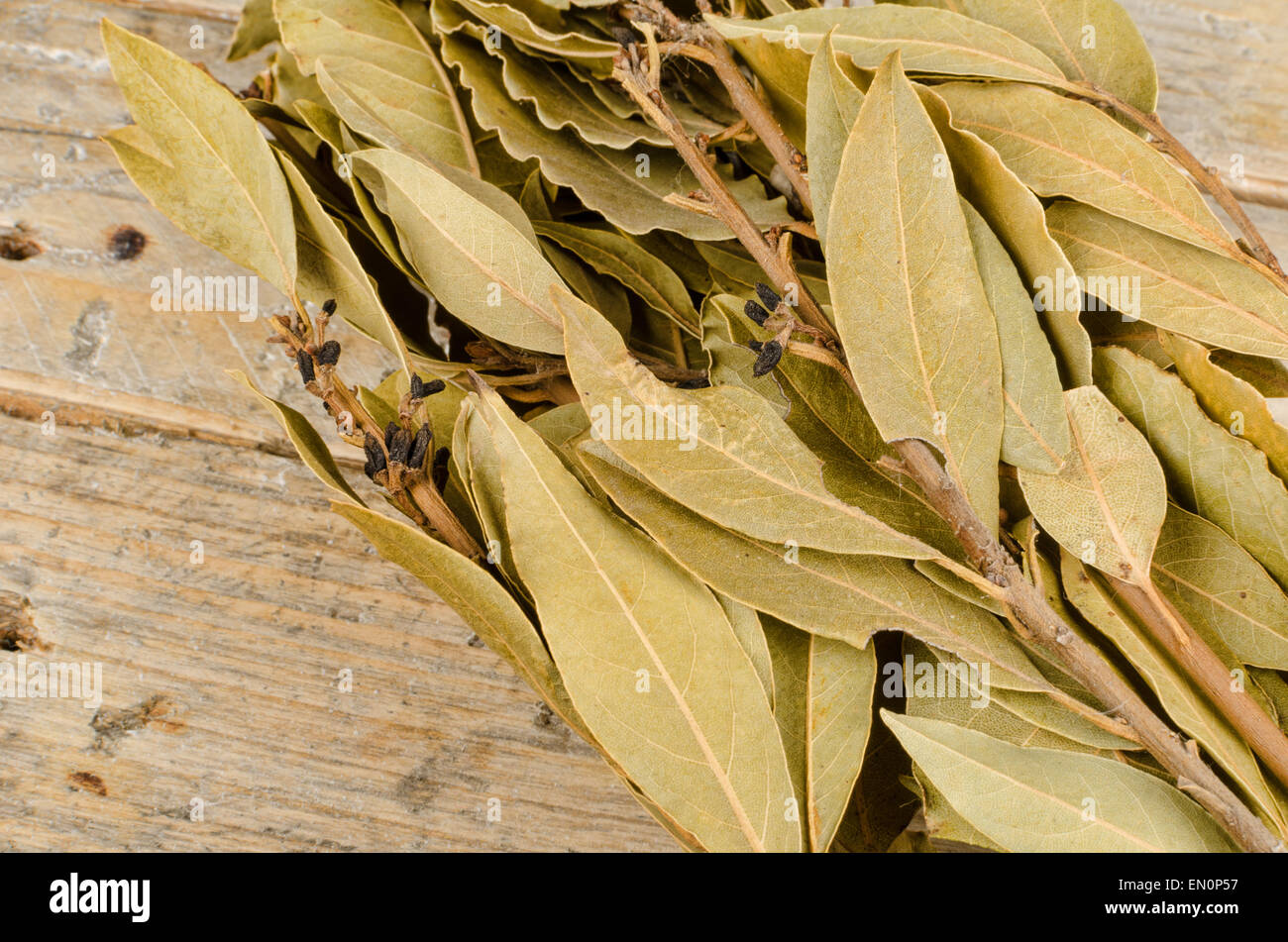 Bundle of branches with dry bay leaves Stock Photo - Alamy