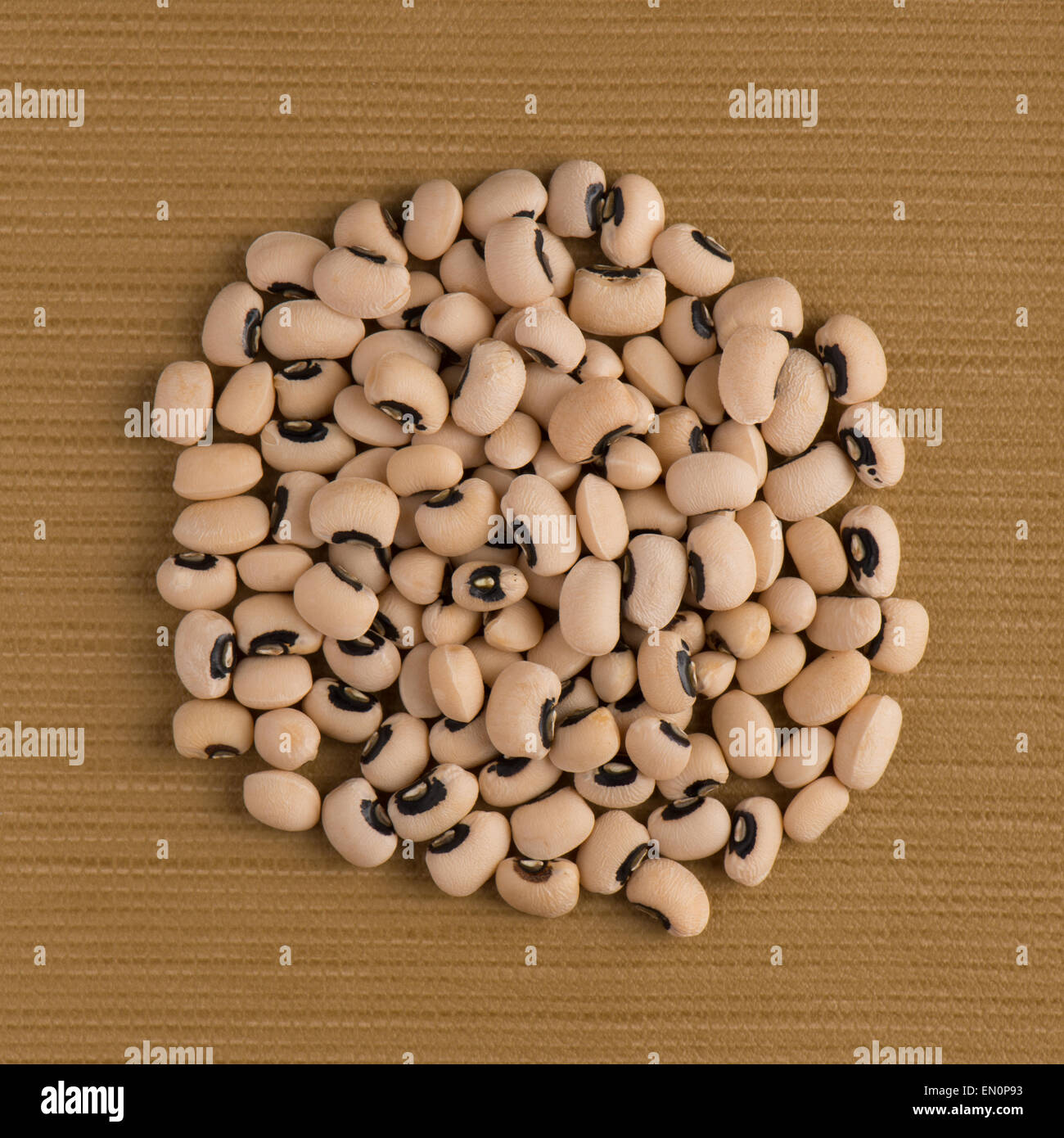 Top view of circle of white beans against brown vinyl background Stock ...