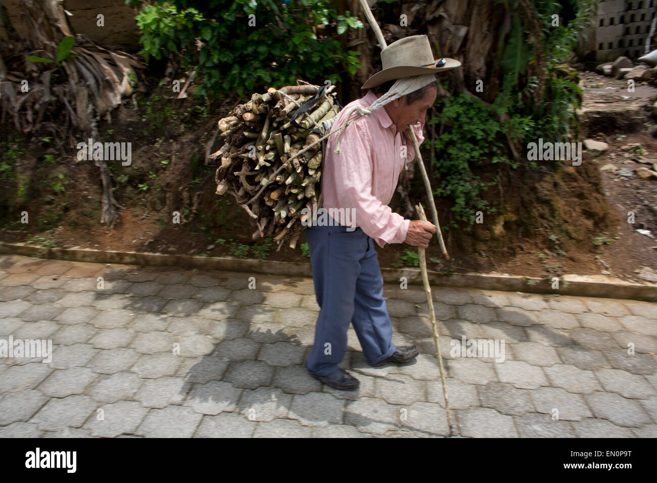 old man collecting firewood in Guatamala Stock Photo - Alamy