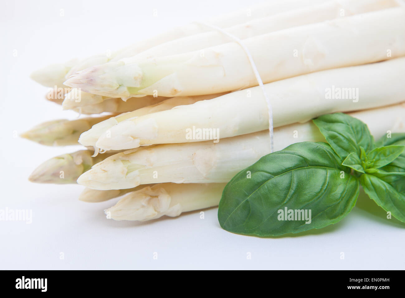 White asparagus not background not meal hi-res stock photography and ...