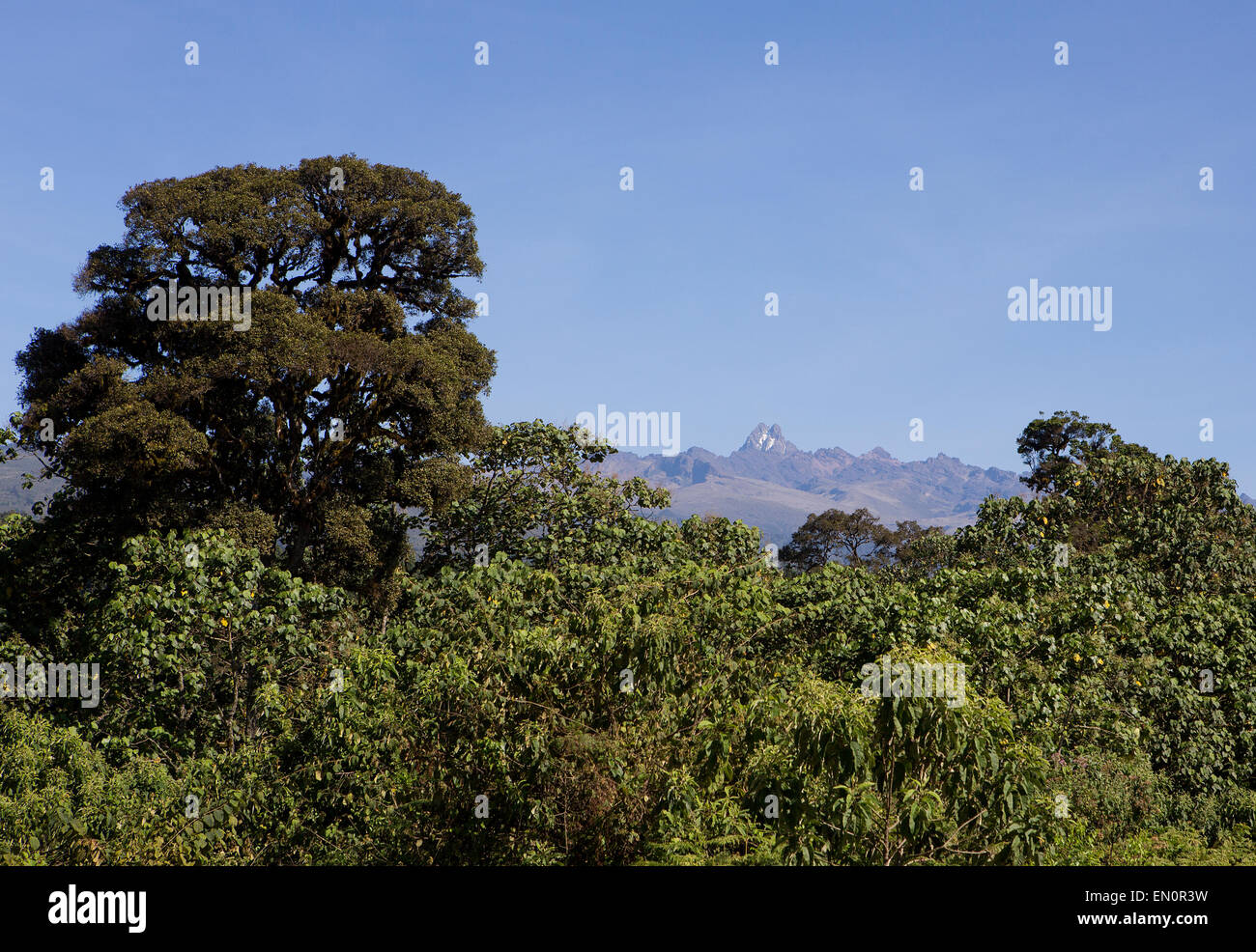 Nanyuki mount kenya hi-res stock photography and images - Alamy