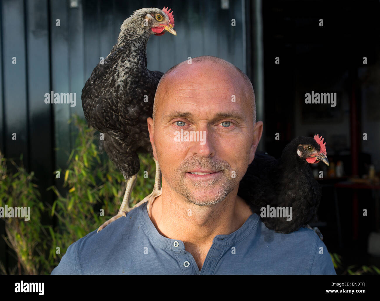 Illustrator profession hi-res stock photography and images - Alamy