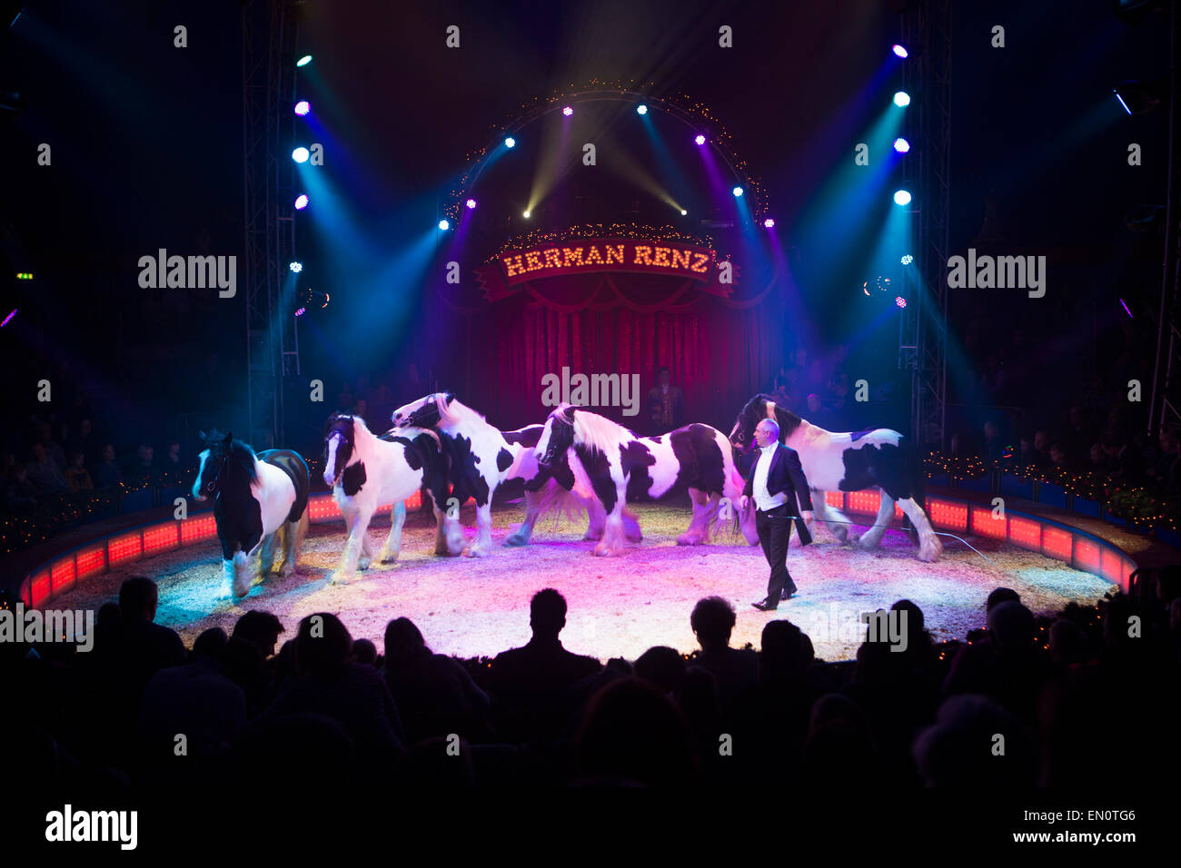 A new law does not allow wild animals to perform in dutch circus Renz ...