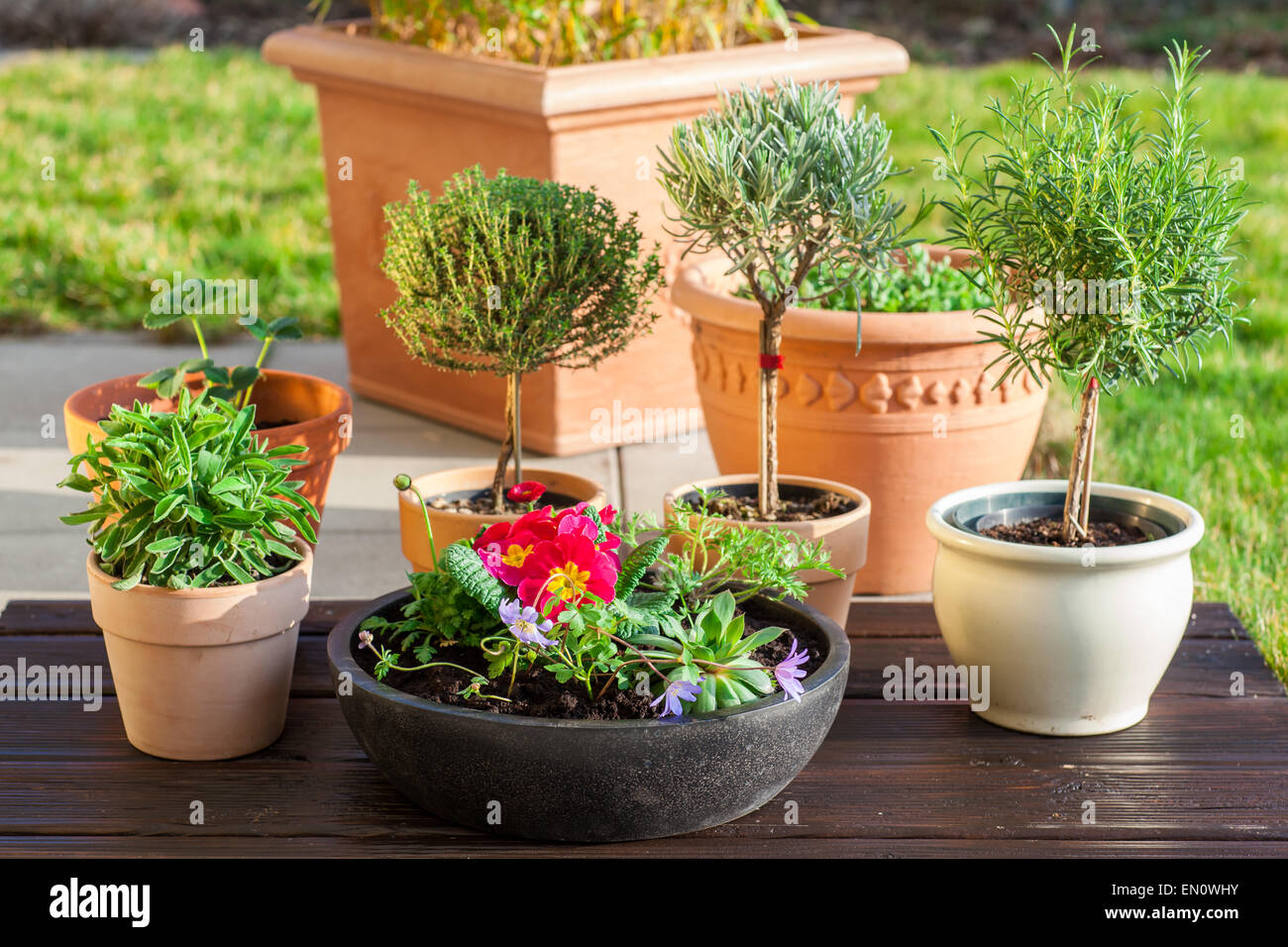 Outdoor flower pots with herbs and flowers for small garden Stock Photo ...