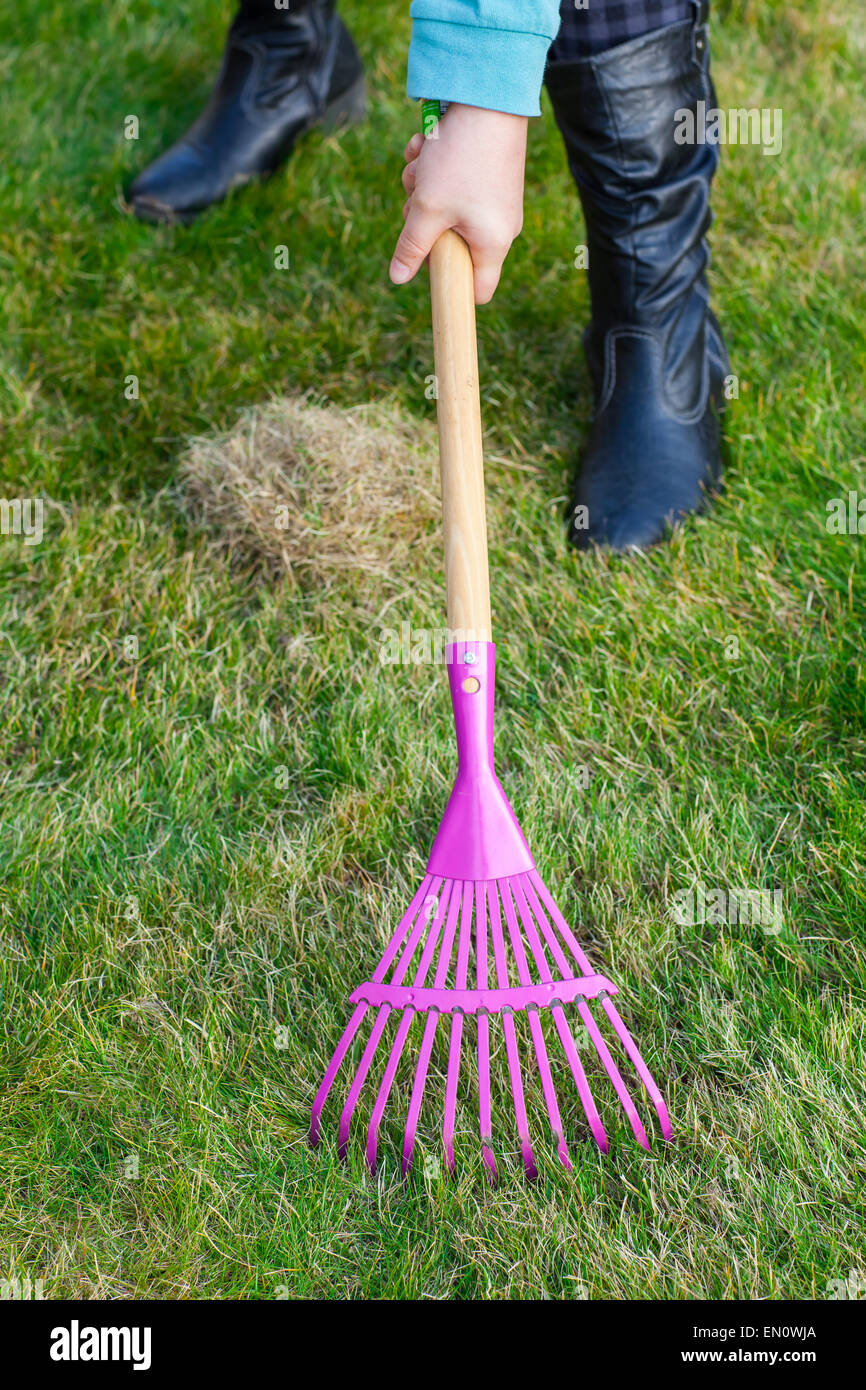 Lawn rake hi-res stock photography and images - Alamy
