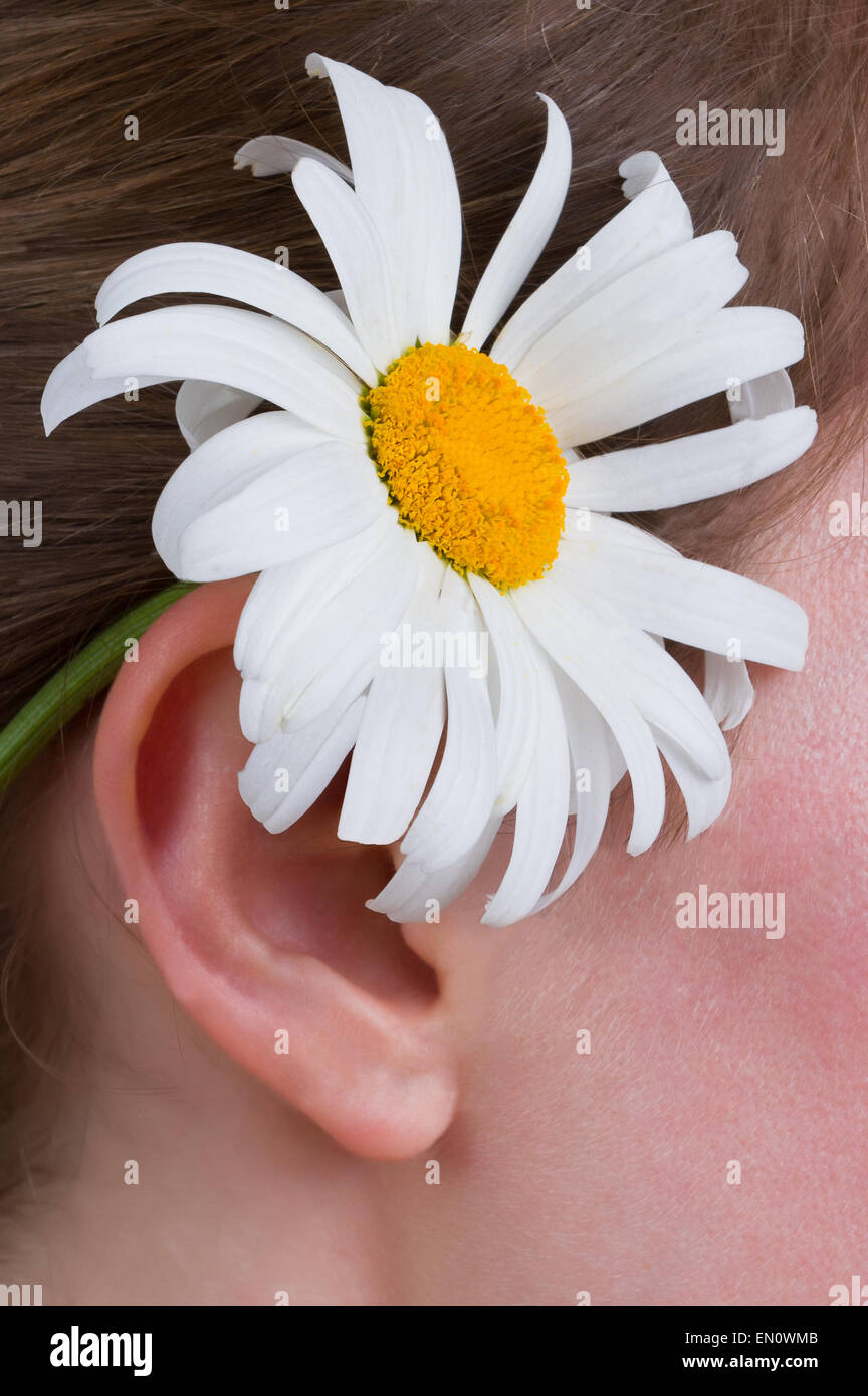 A girl with a daisy behind ear Stock Photo - Alamy