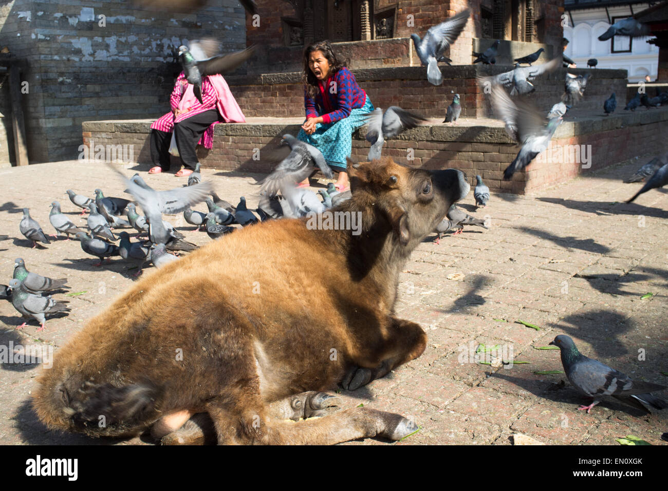 Street scene, Durbar Square, Kathmandu, Nepal, Asia Stock Photo - Alamy