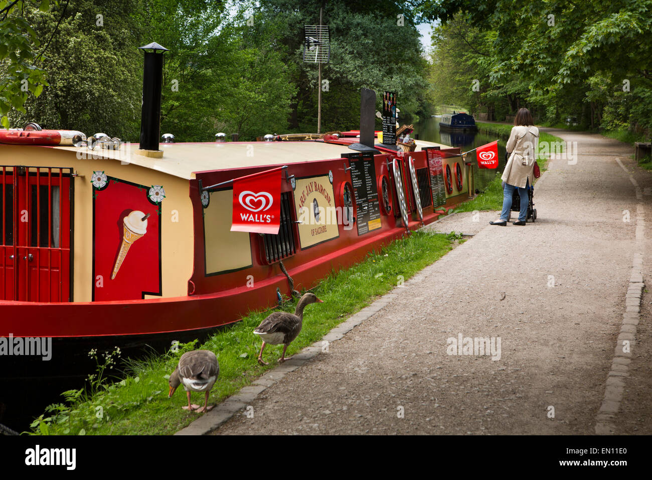 UK, England, Yorkshire, Saltaire, Leeds and Liverpool Canal, geese on ...