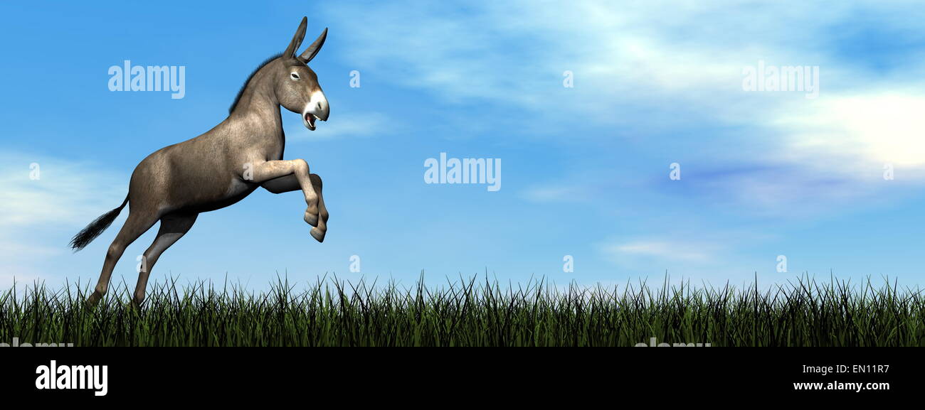 Jumping donkey hi-res stock photography and images - Alamy