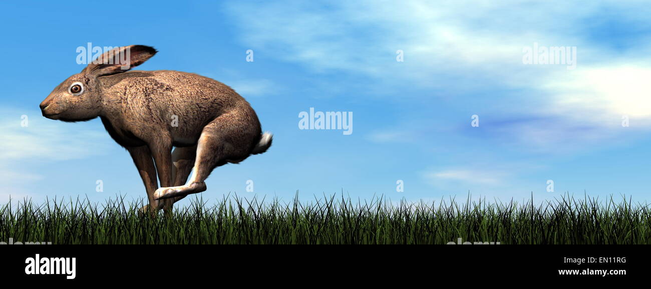 One hare running in the grass by day - 3D render Stock Photo - Alamy