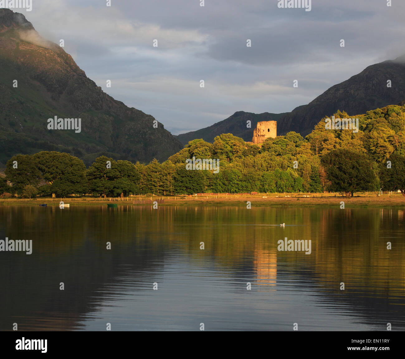 Dolbadarn Castle overlooks Llyn Padarn on a summer's evening, Llanberis ...
