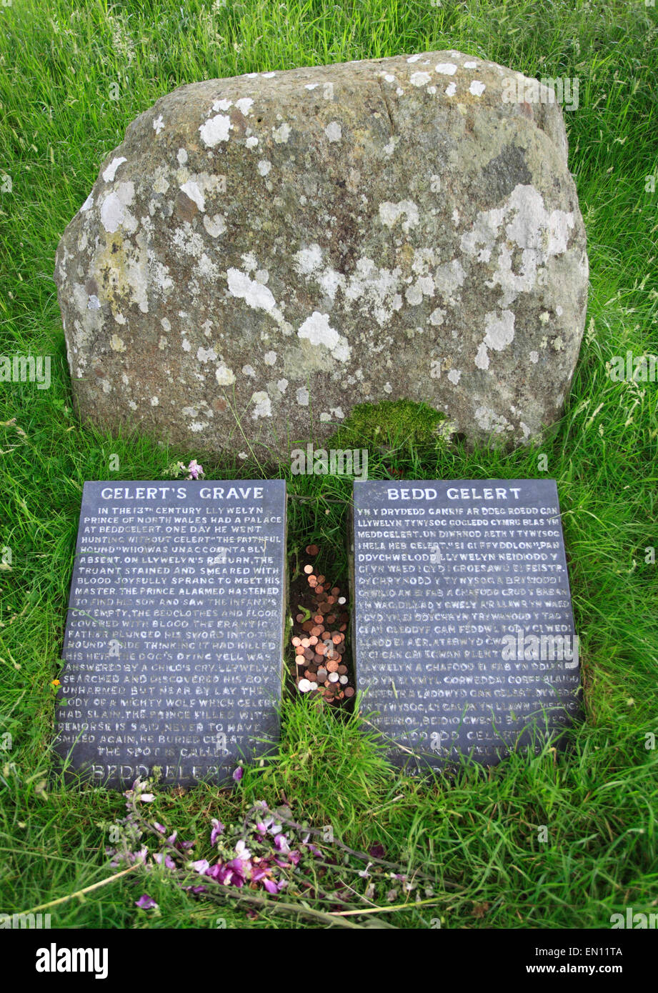 Gelert's Grave with English and Welsh transcripts, Beddgerlert ...