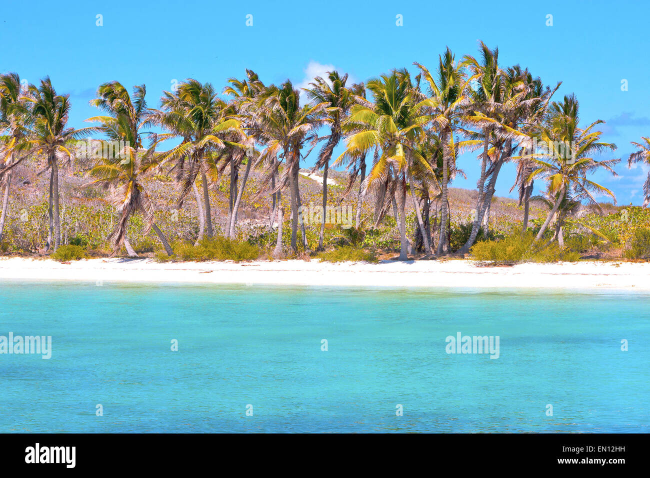 blue isla contoy in mexico froath and blue foam the sea drop sunny day ...