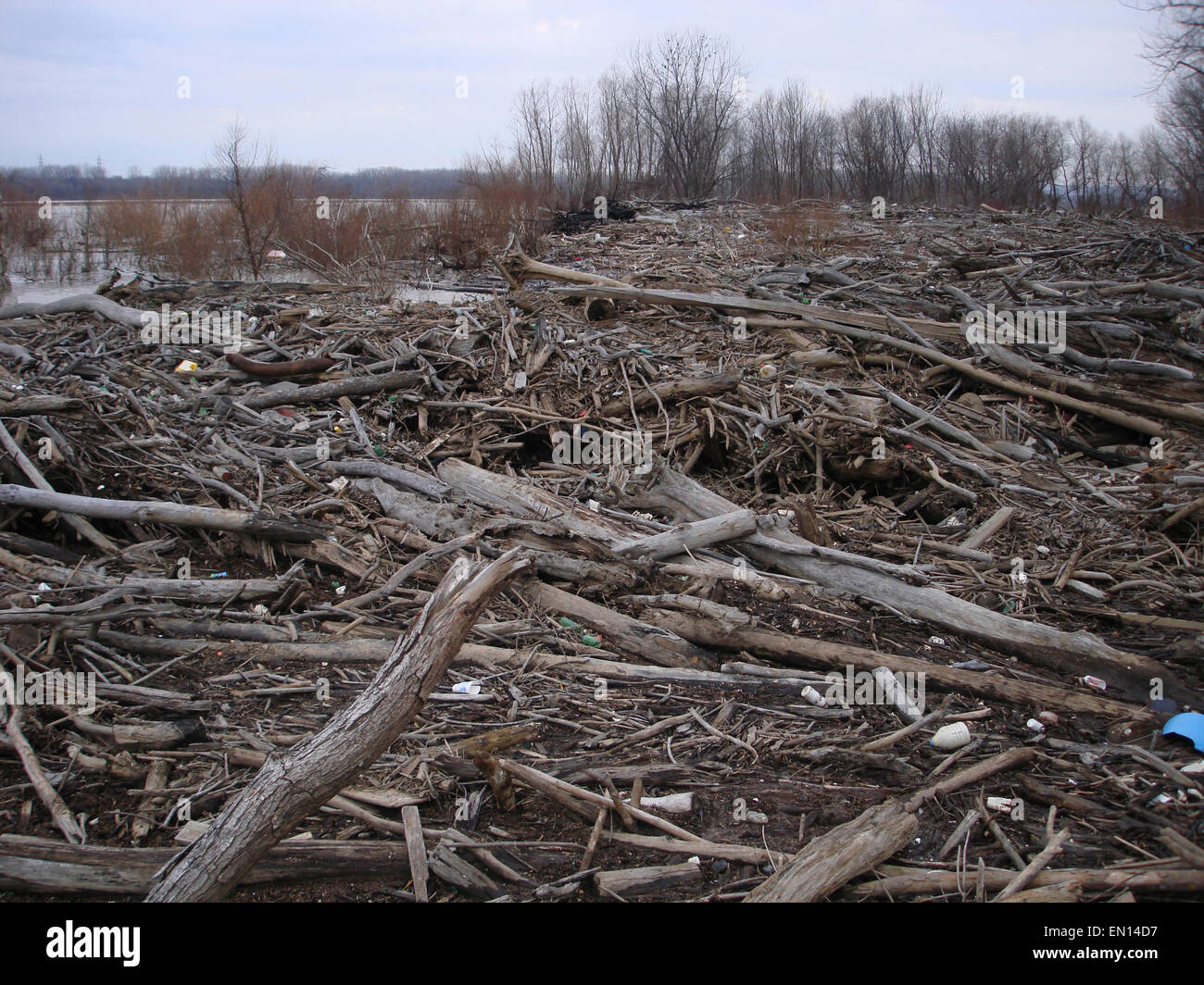 Massive pile of debris after a flood on the banks or the Ohio river ...