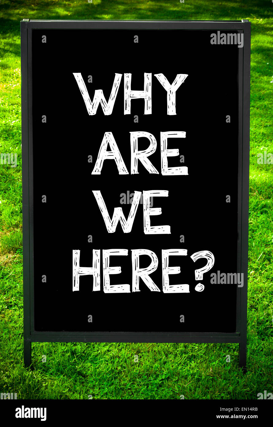 WHY ARE WE HERE? message on sidewalk blackboard sign against green ...