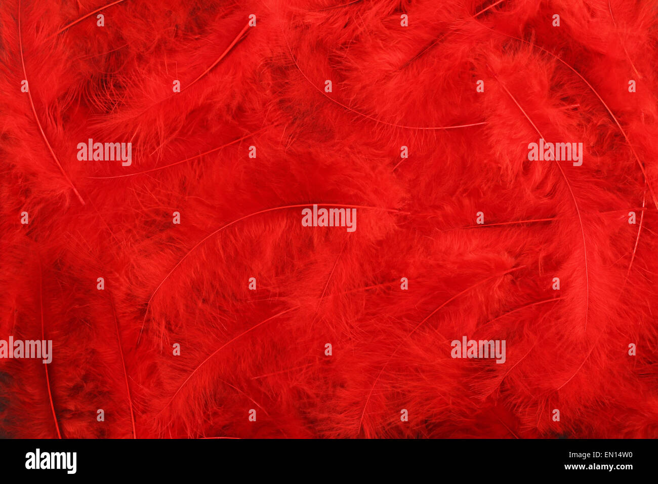 Background - small red plumes situated irregularly Stock Photo - Alamy