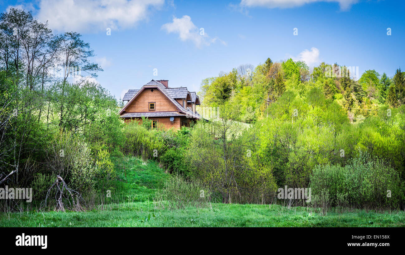 Wooden hut trees in forest architecture hi-res stock photography and ...