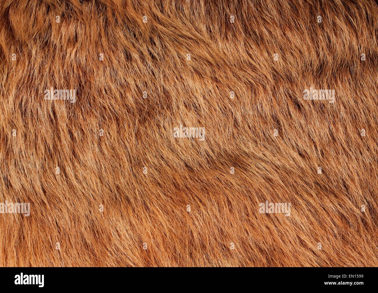 Light fur coat hi-res stock photography and images - Alamy