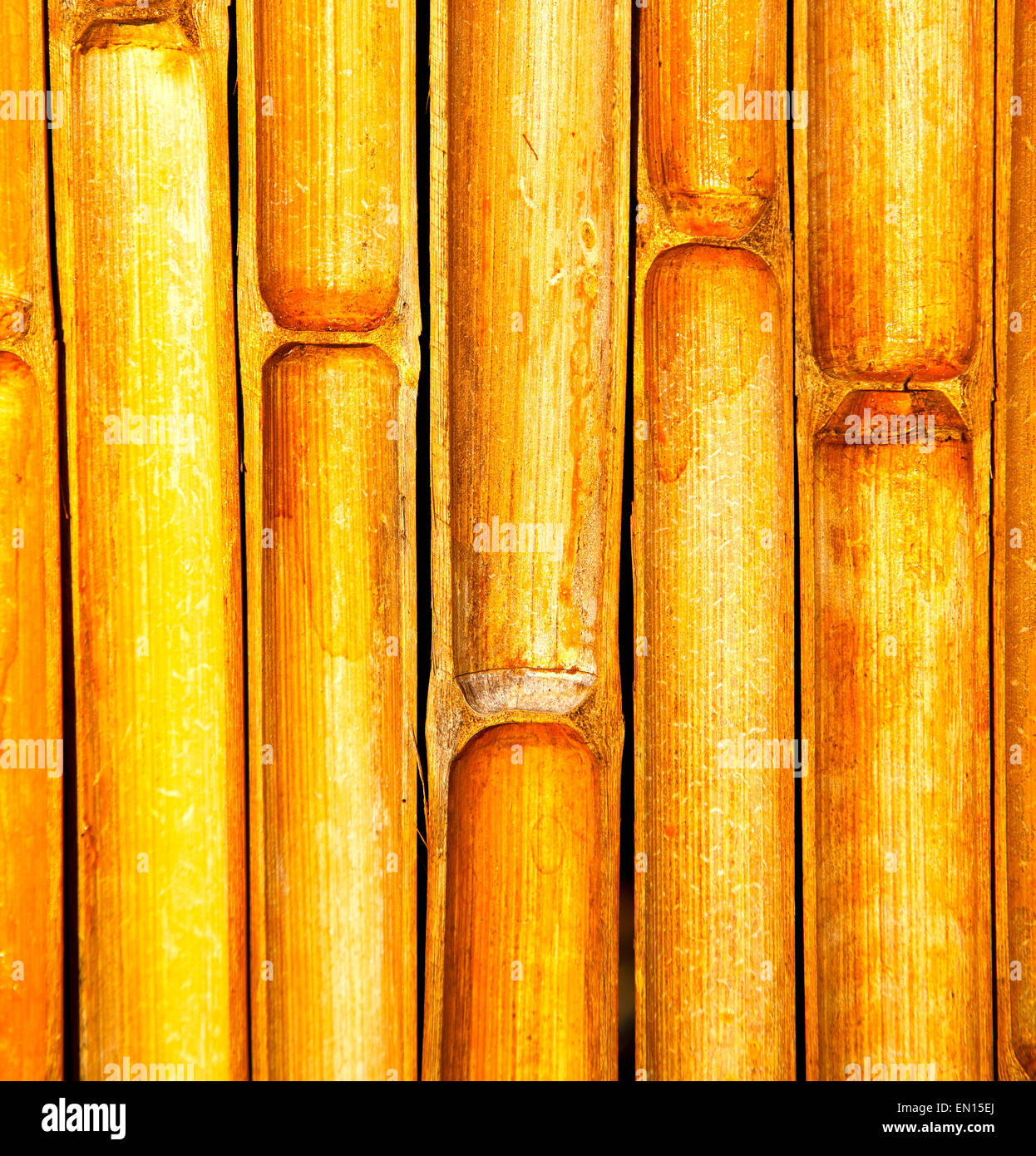 thailand abstract cross bamboo in the temple kho phangan bay asia and ...