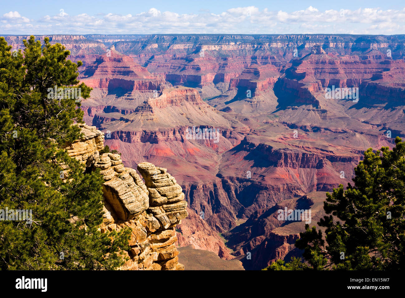 Grand Canyon on a sunny day, Arizona Stock Photo - Alamy