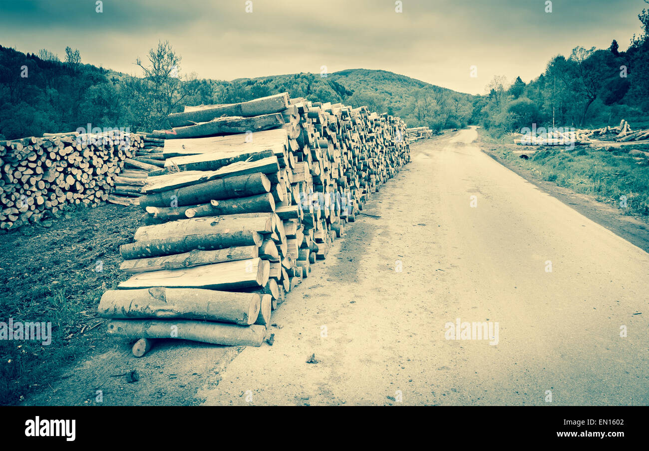 Wooden logs by the road prepared for transportation Stock Photo - Alamy