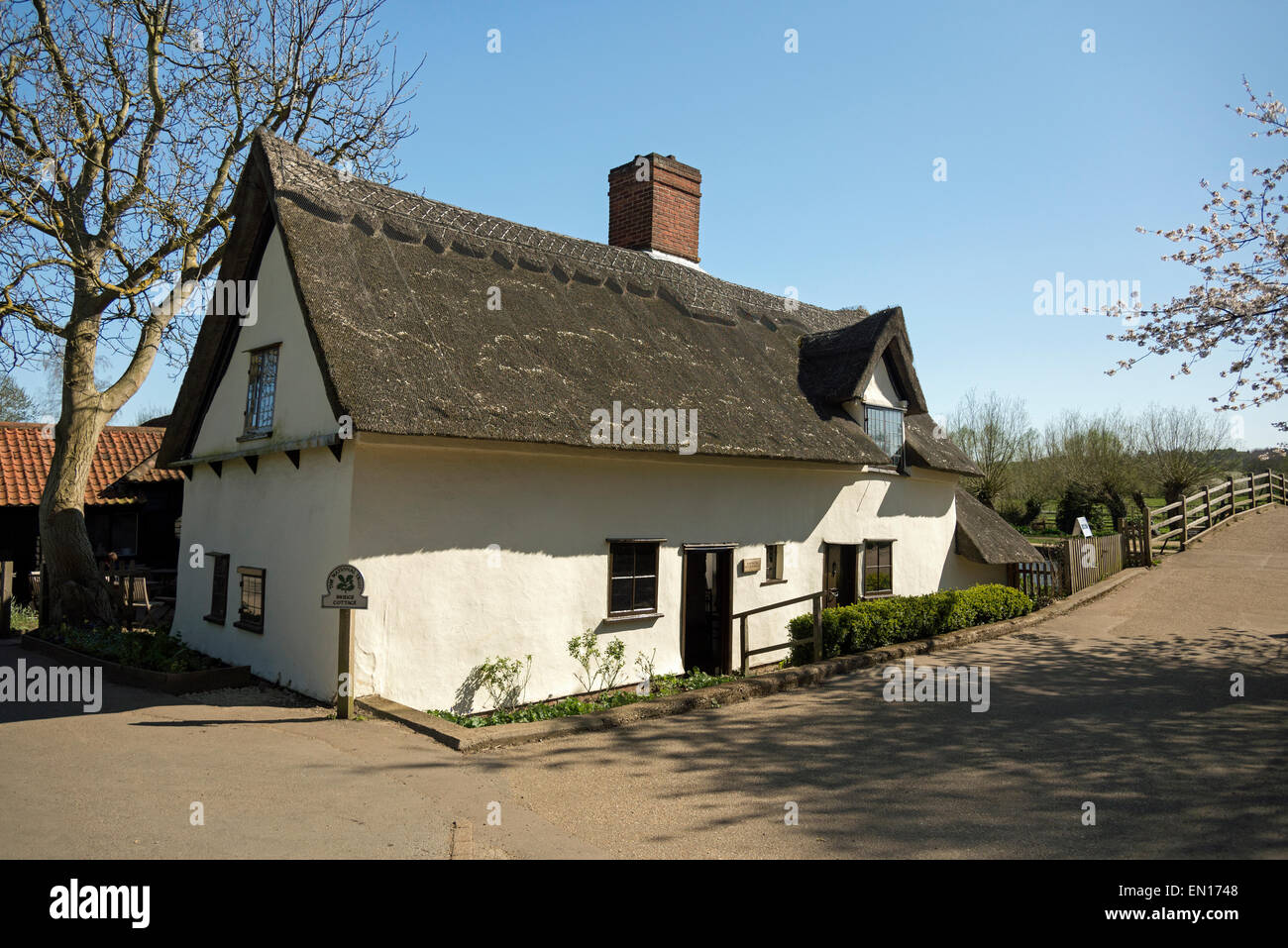 Border with trees hi-res stock photography and images - Alamy