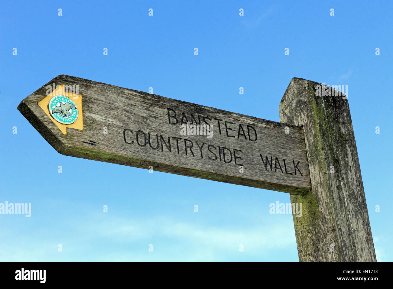 Banstead, Surrey, England, UK. 25th April 2015. Banstead Woods are a ...