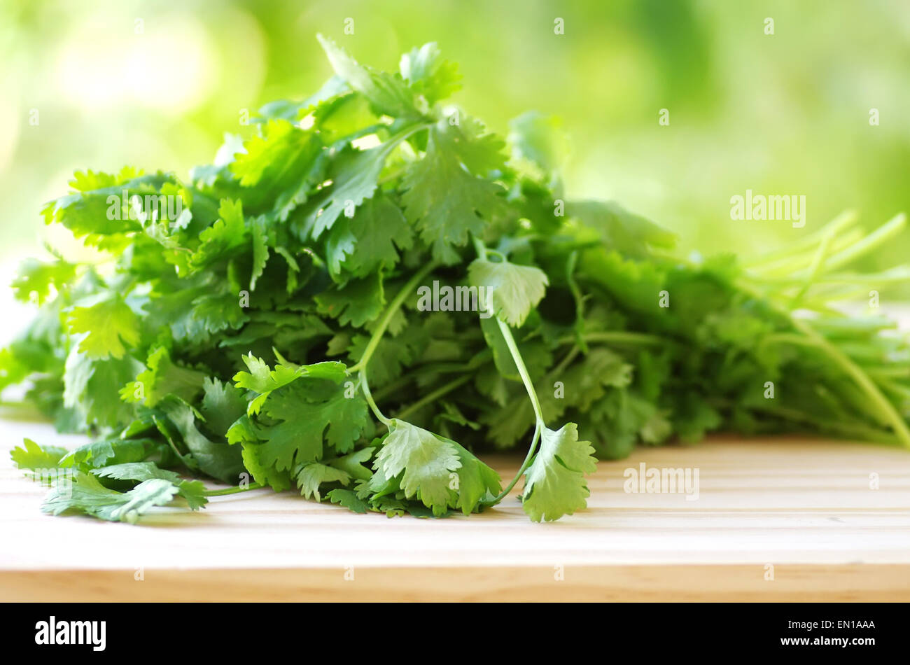 bunch of coriander on table Stock Photo - Alamy