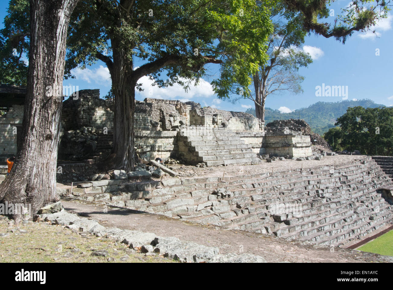 Ancient Mayan acropolis, Copan, Honduras Stock Photo - Alamy