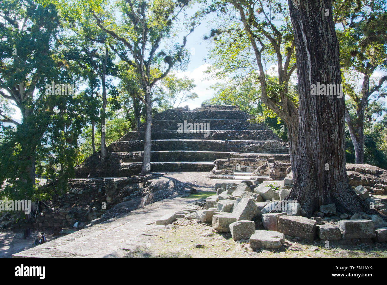 Ancient Mayan pyramid, Copan, Honduras Stock Photo - Alamy