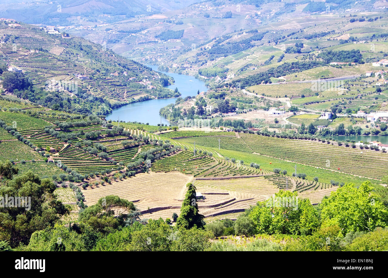 Vineyards in hills portugal beautiful hi-res stock photography and ...