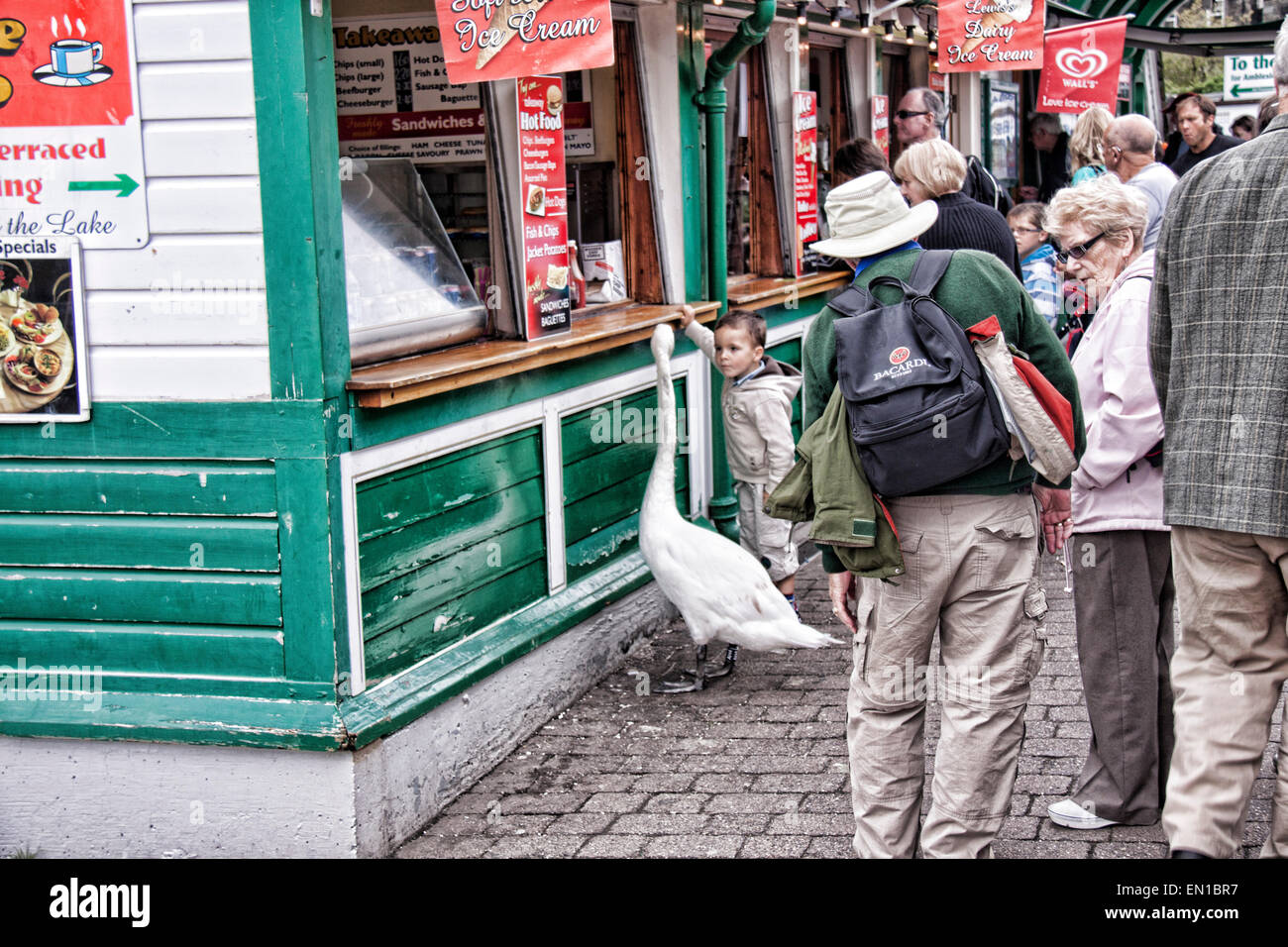 Old english black neck hi-res stock photography and images - Alamy