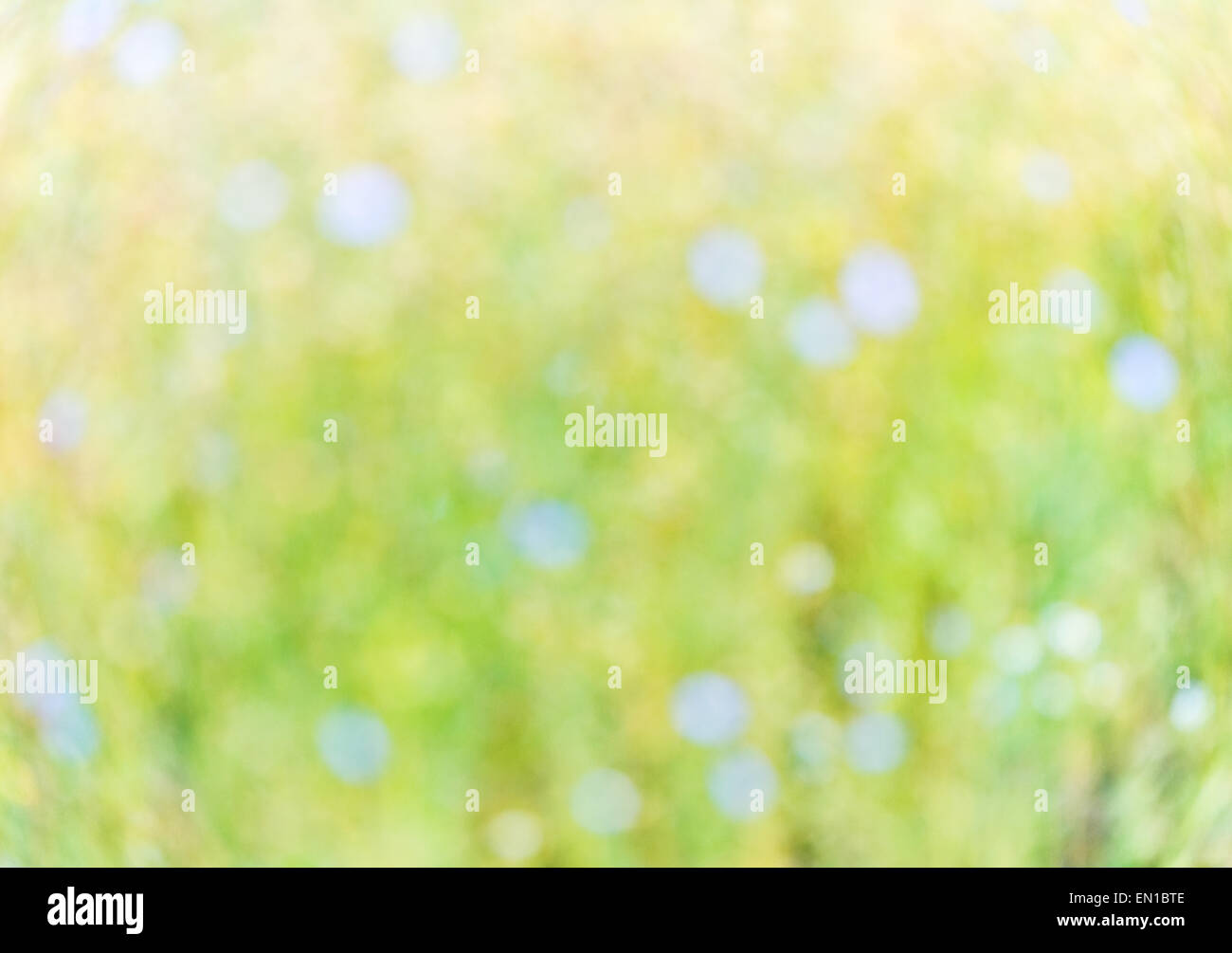 Blur flower background in the fresh garden Stock Photo - Alamy