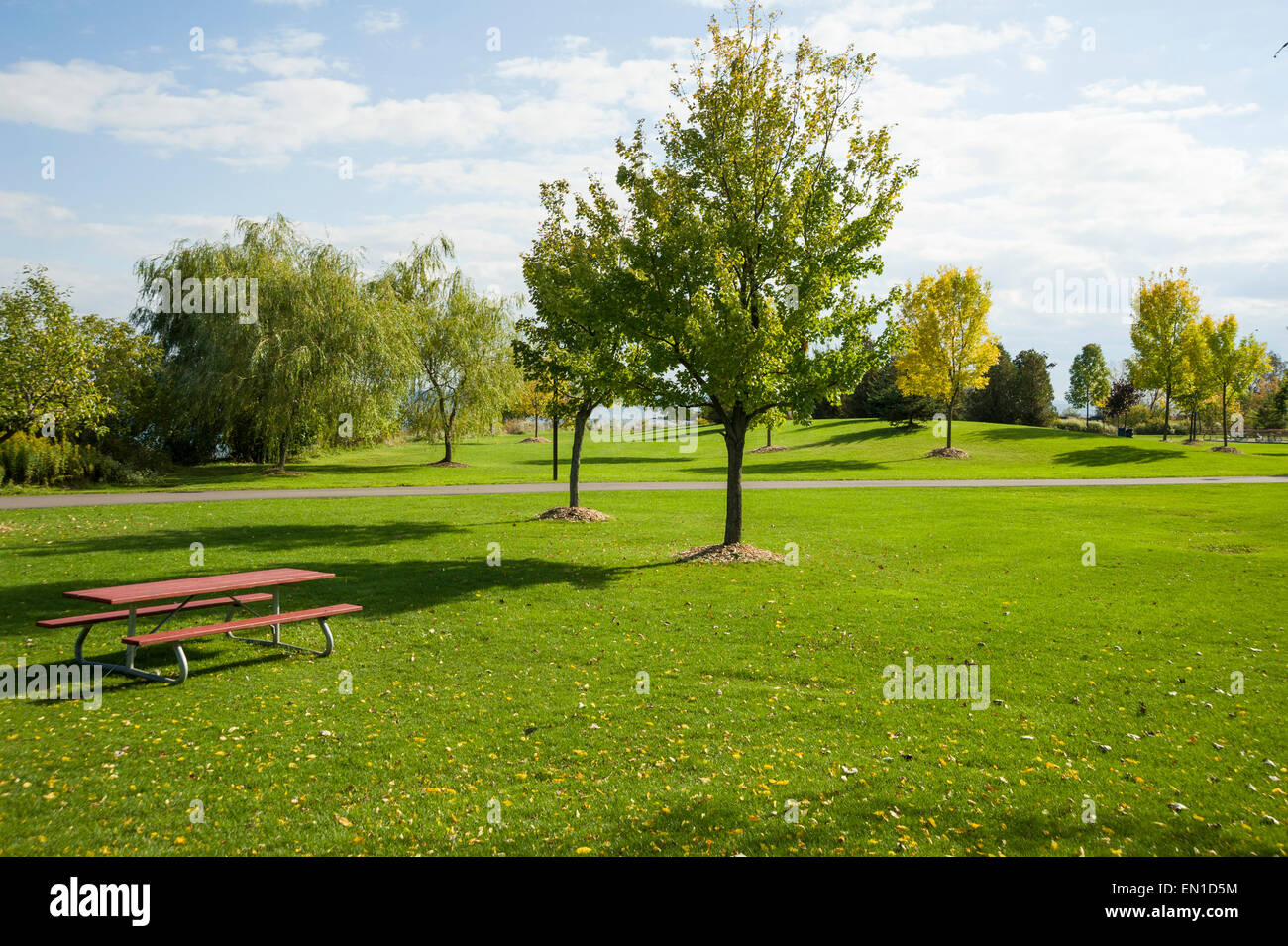 Empty city park on a bright sunny day Stock Photo - Alamy