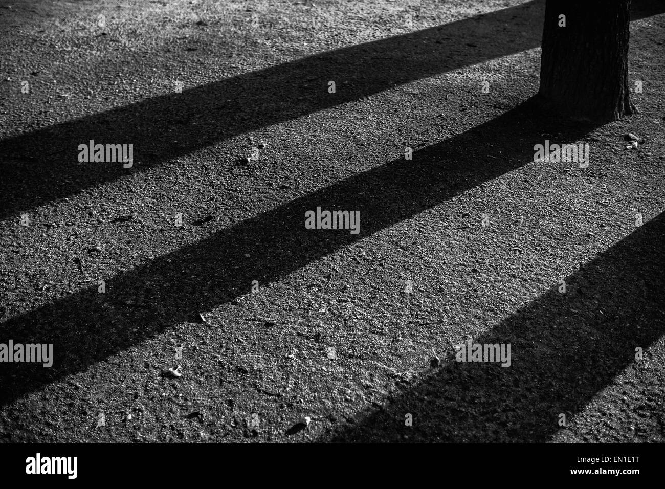 Abstract Shadows from Trees Stock Photo - Alamy