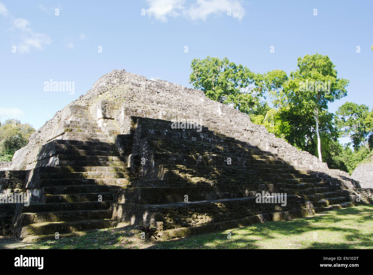 Mayan pyramid in the jungle ruins of Yaxha, Peten, Guatemala Stock ...