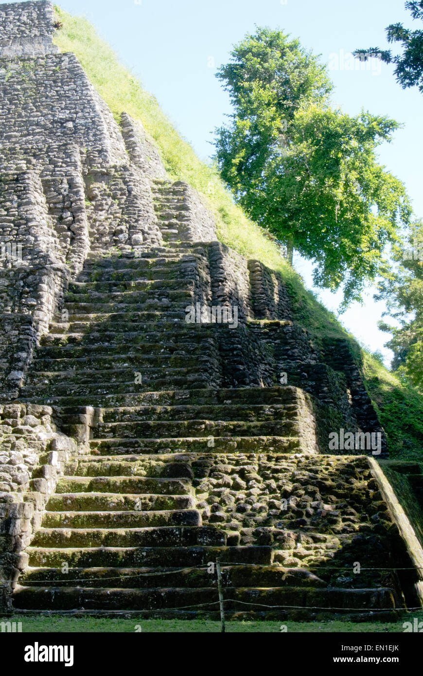 Ancient Mayan pyramid, Yaxha, Peten, Guatemala Stock Photo - Alamy